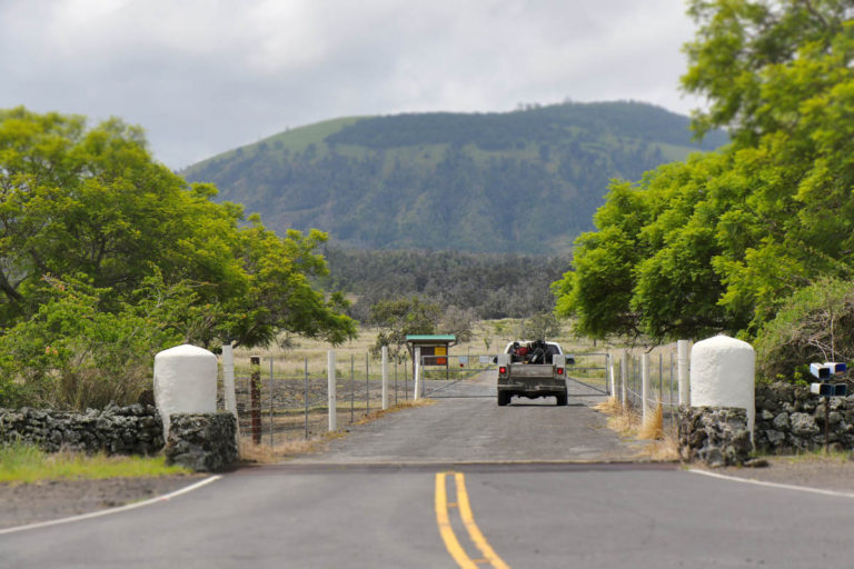 Hawaiʻi Birding Trails | Pu‘u Wa‘awa‘a ʻŌhiʻa Trail