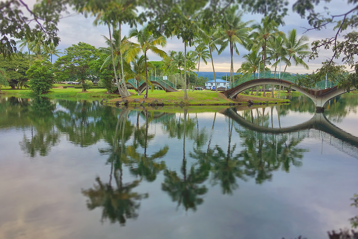 Hawaiʻi Birding Trails | Wailoa River State Park